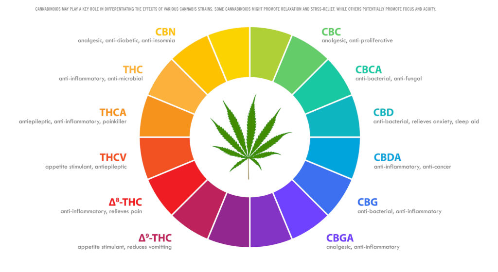 What Are the Different Types of Cannabinoids? 6 Cannabinoids You Should ...